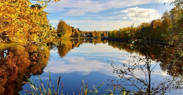 Visit Orsa - Upplevelser, aktiviteter, boende & mat i hjärtat av Dalarna