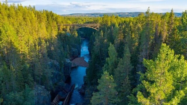 Visit Orsa - Upplevelser, aktiviteter, boende & mat i hjärtat av Dalarna