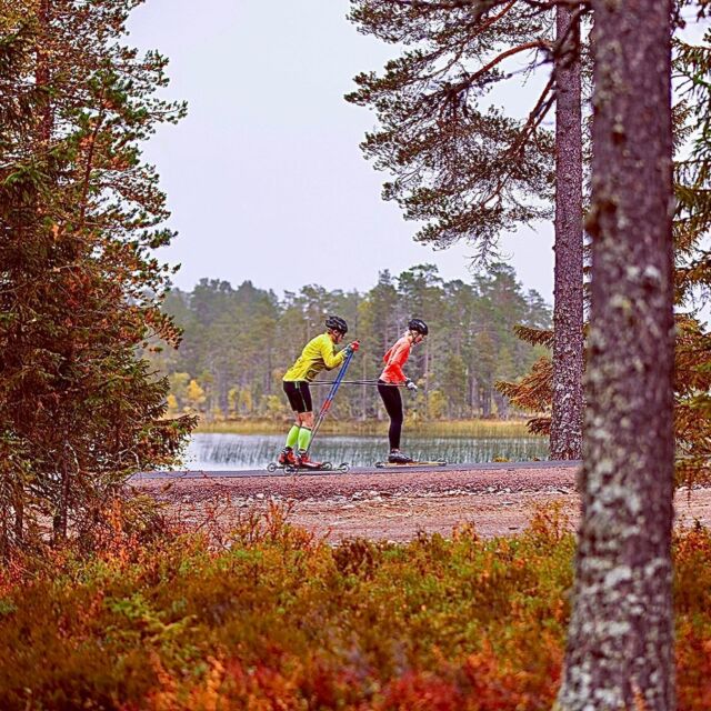 Visit Orsa - Upplevelser, aktiviteter, boende & mat i hjärtat av Dalarna